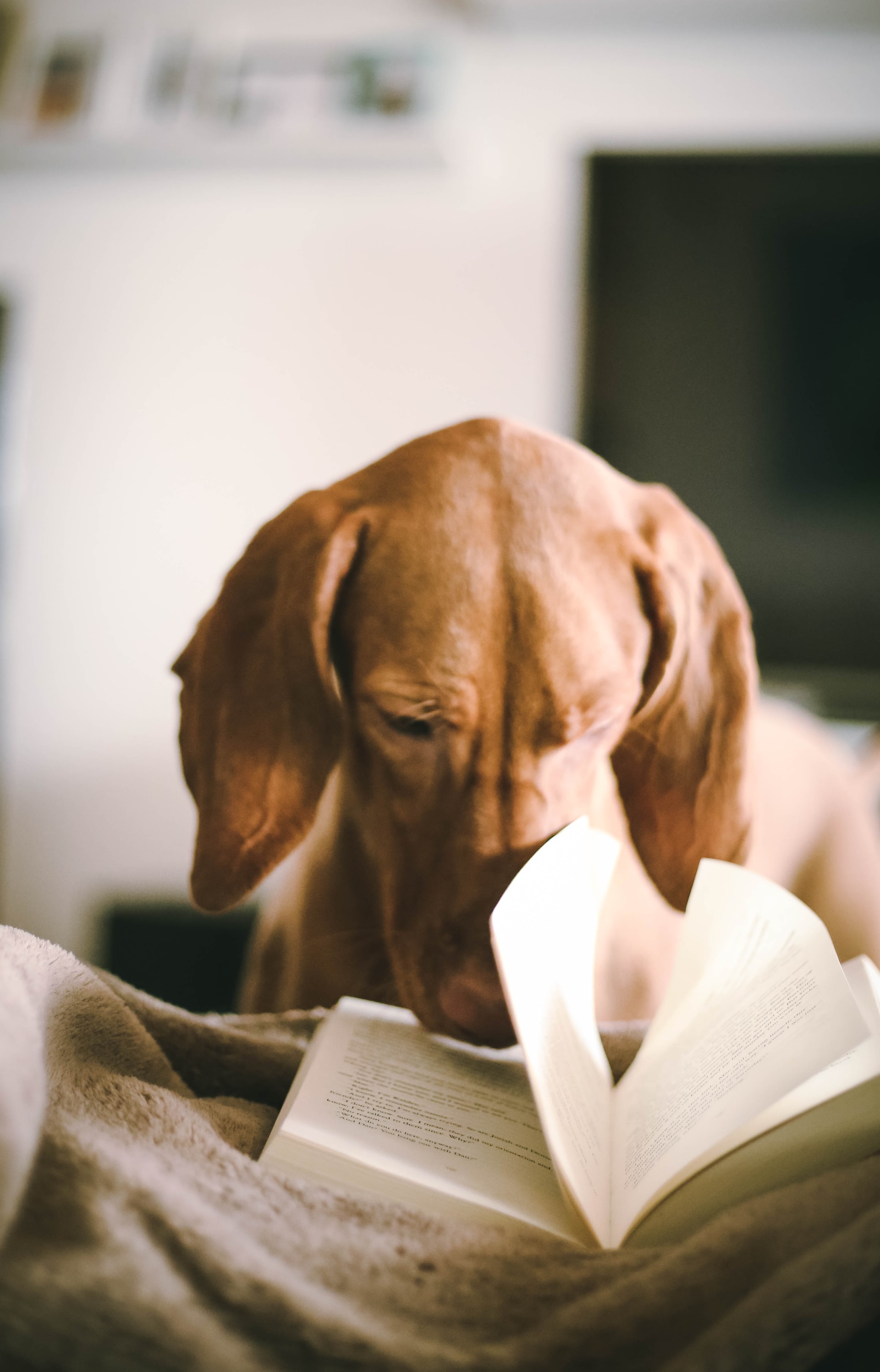 Open to Interpretation – Kathleen Jae